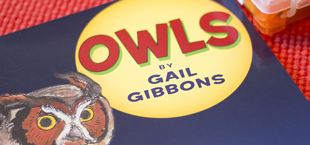 Discovering The Parts Of An Owl- Day 3 (Easy Preschool At Home ...